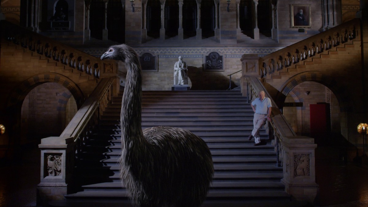 Museum Alive 3D (2016) – Mr. Movie's Film Blog